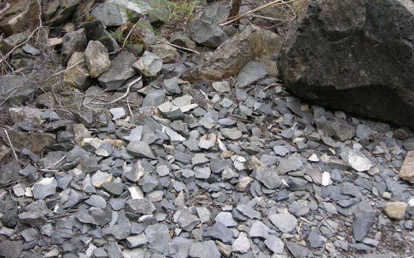 Pakohe or Argillite Nelson, Marlborough - metamorphosed indurated mudstone