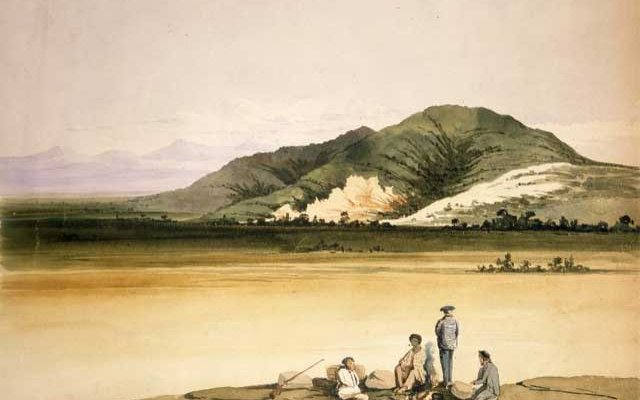 Kehu - Māori Guide Extraordinaire