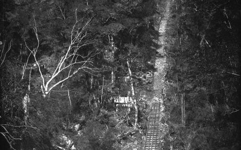 Aniseed Valley Copper