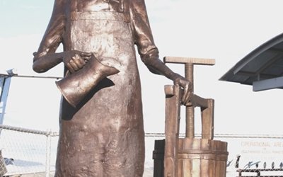 Marlborough wine and vines