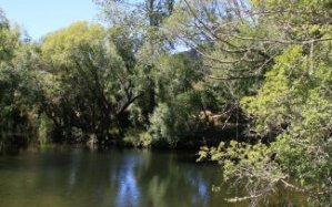 Mahitahi or Maitai Valley, Nelson