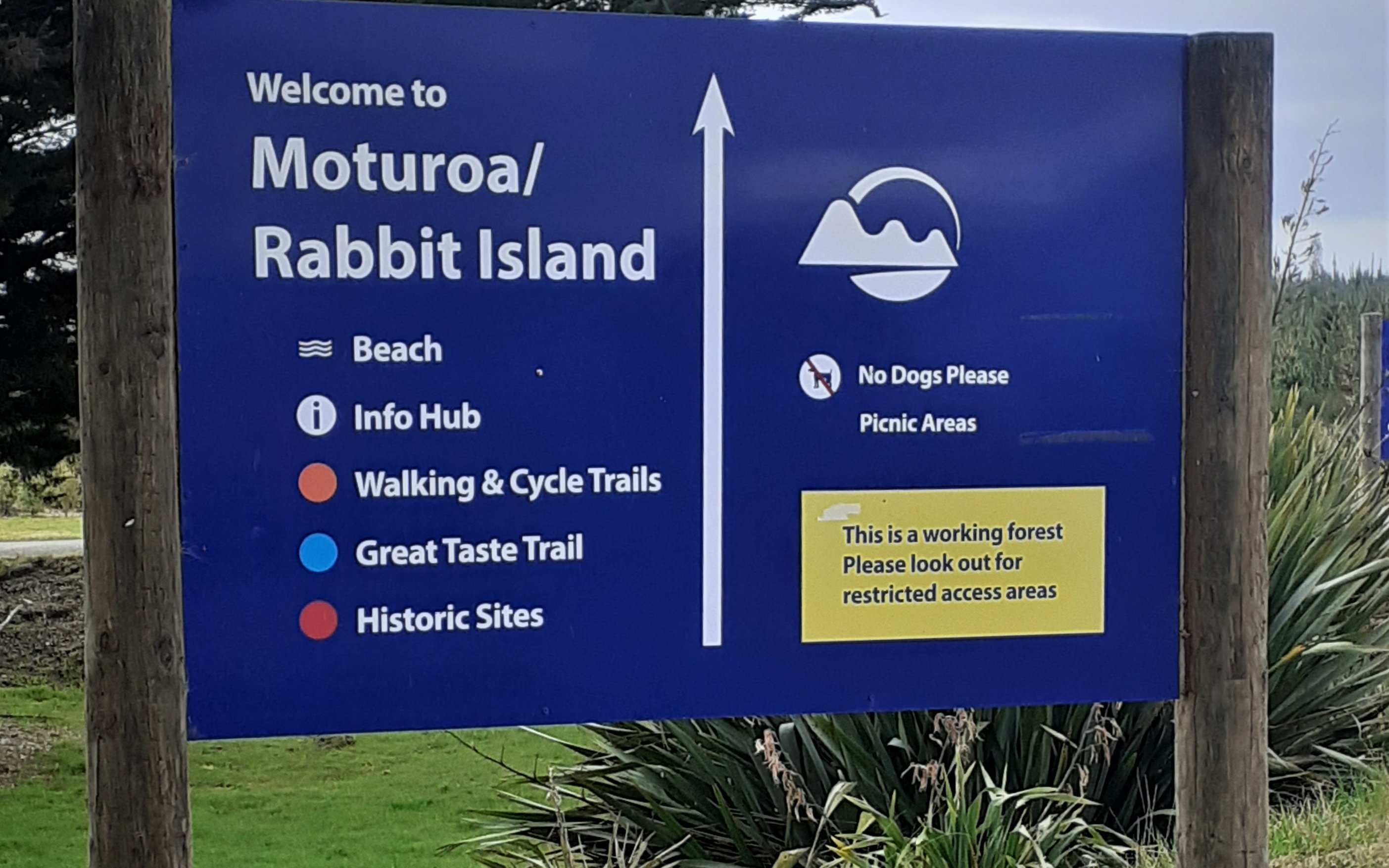 Moturoa / Rabbit Island