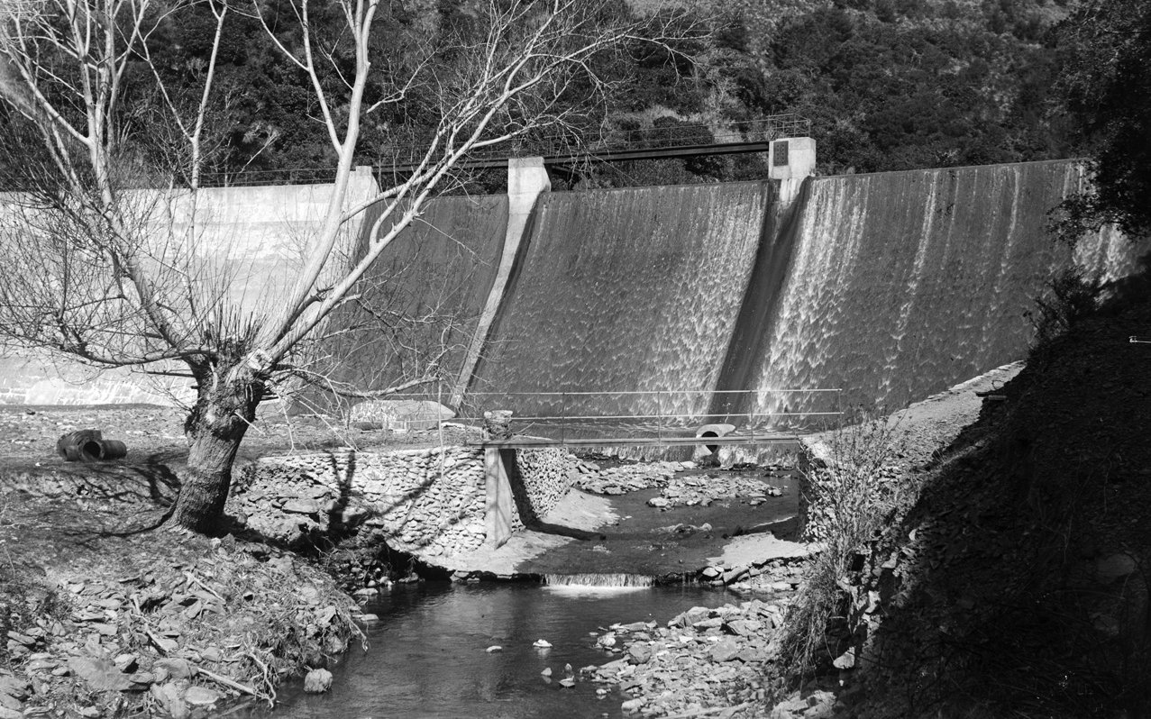 Brook Valley Nelson