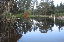 Moturoa / Rabbit Island